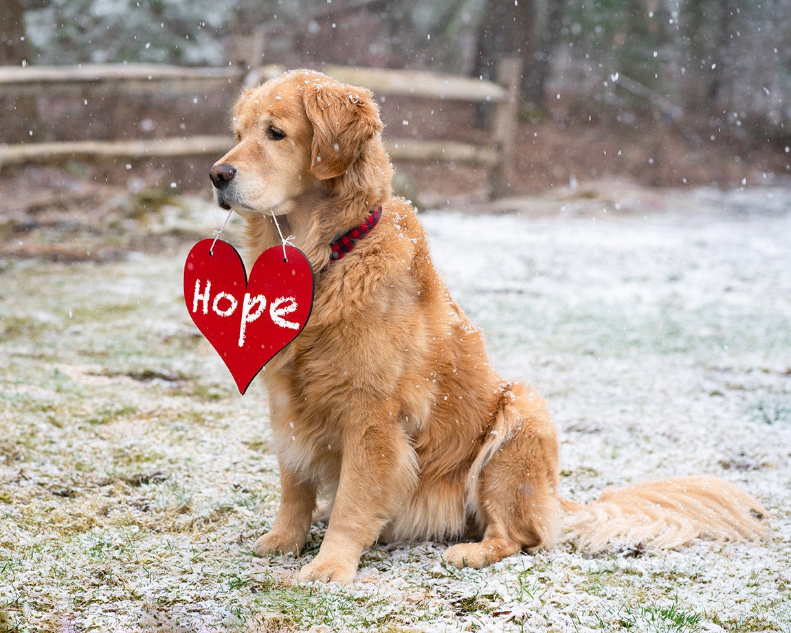 "Hope" (Snow) Photo Print | The Henry Studio Print Shop