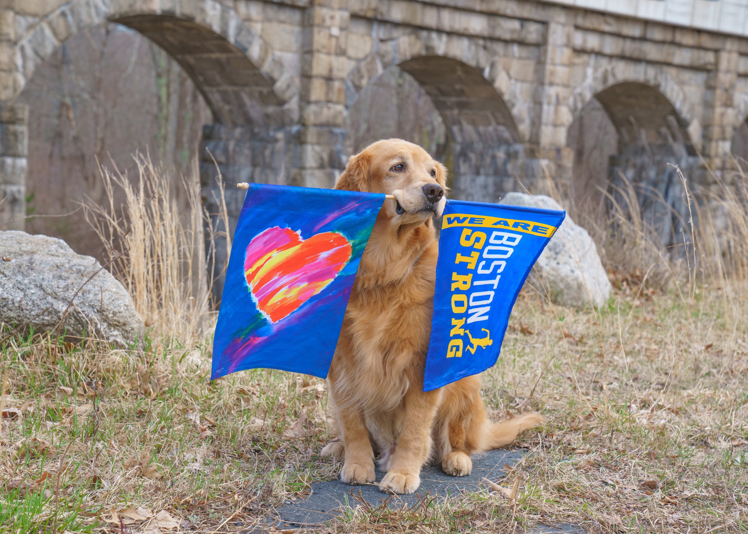 "Spencer is Boston Strong" Photo Print | The Henry Studio Print Shop