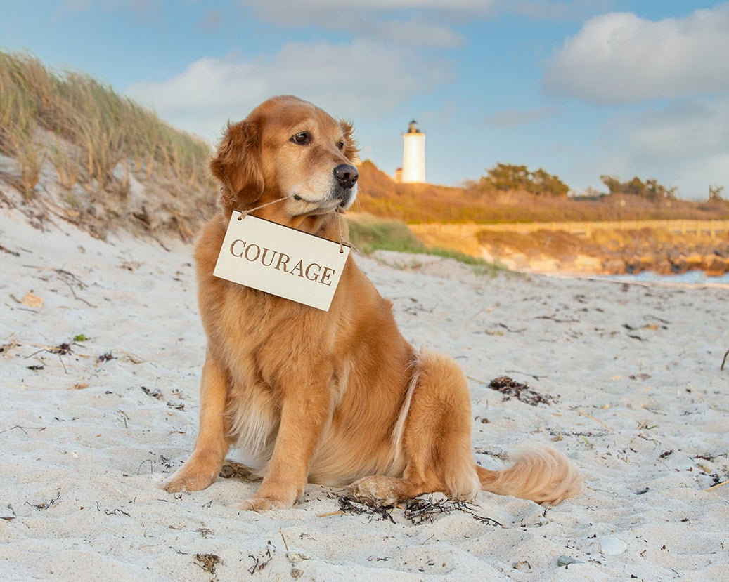 "Courage" Photo Print | The Henry Studio Print Shop