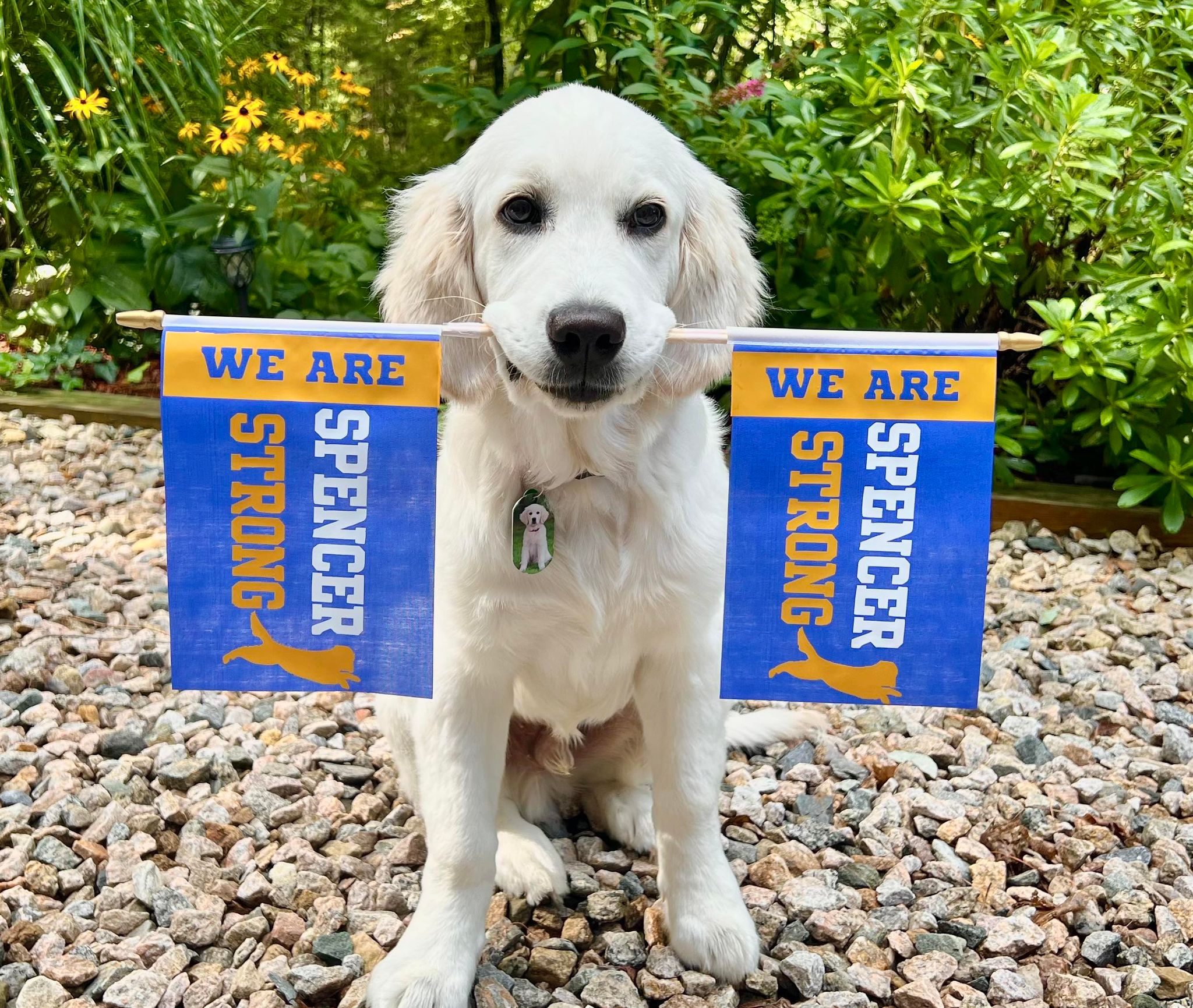 Spencer Strong Banner Flag | The Henry Studio Print Shop