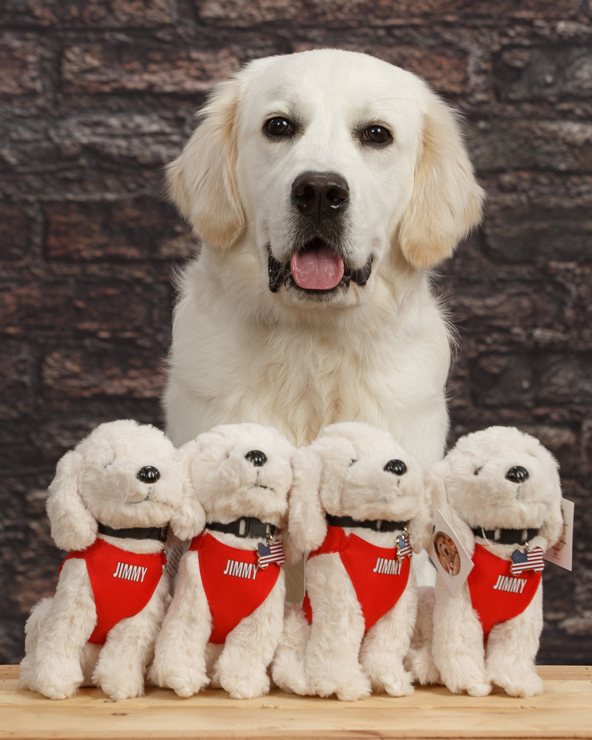 Jimmy Dolls | The Henry Studio Print Shop