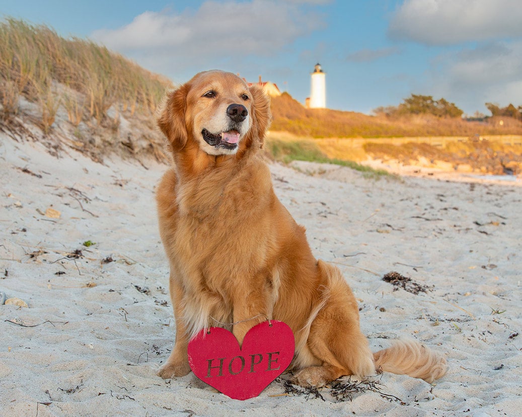 "Hope" (Beach) Photo Print | The Henry Studio Print Shop